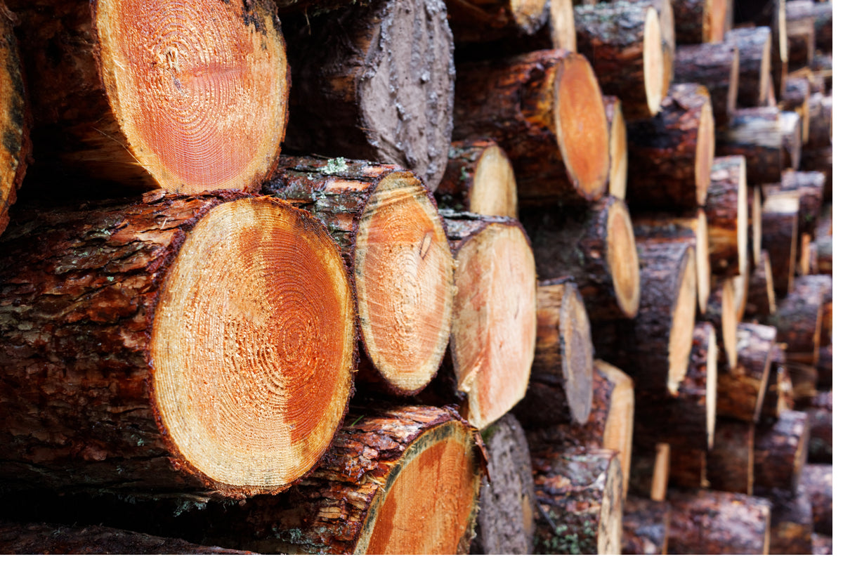 What is FSC Timber – Armstrong Cheshire