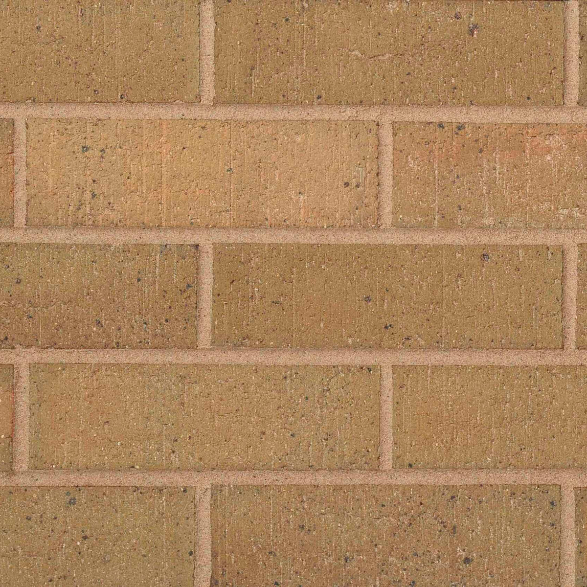 Carlton Wrekin Buff Brick 65mm – Armstrong Cheshire